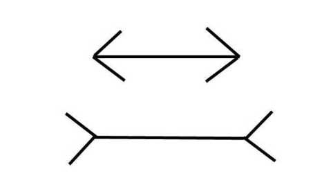 Optical Illusions That Will Play Tricks On Your Mind