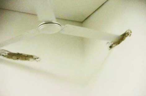 Epic home renovation Fails! | Michigan Sportsman Forum