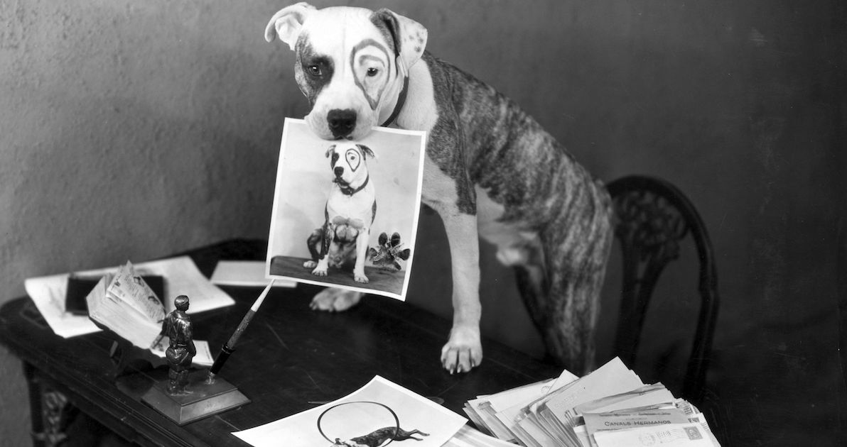 Little Rascals Fun Facts: Secrets You May Not Know About 'Our Gang'